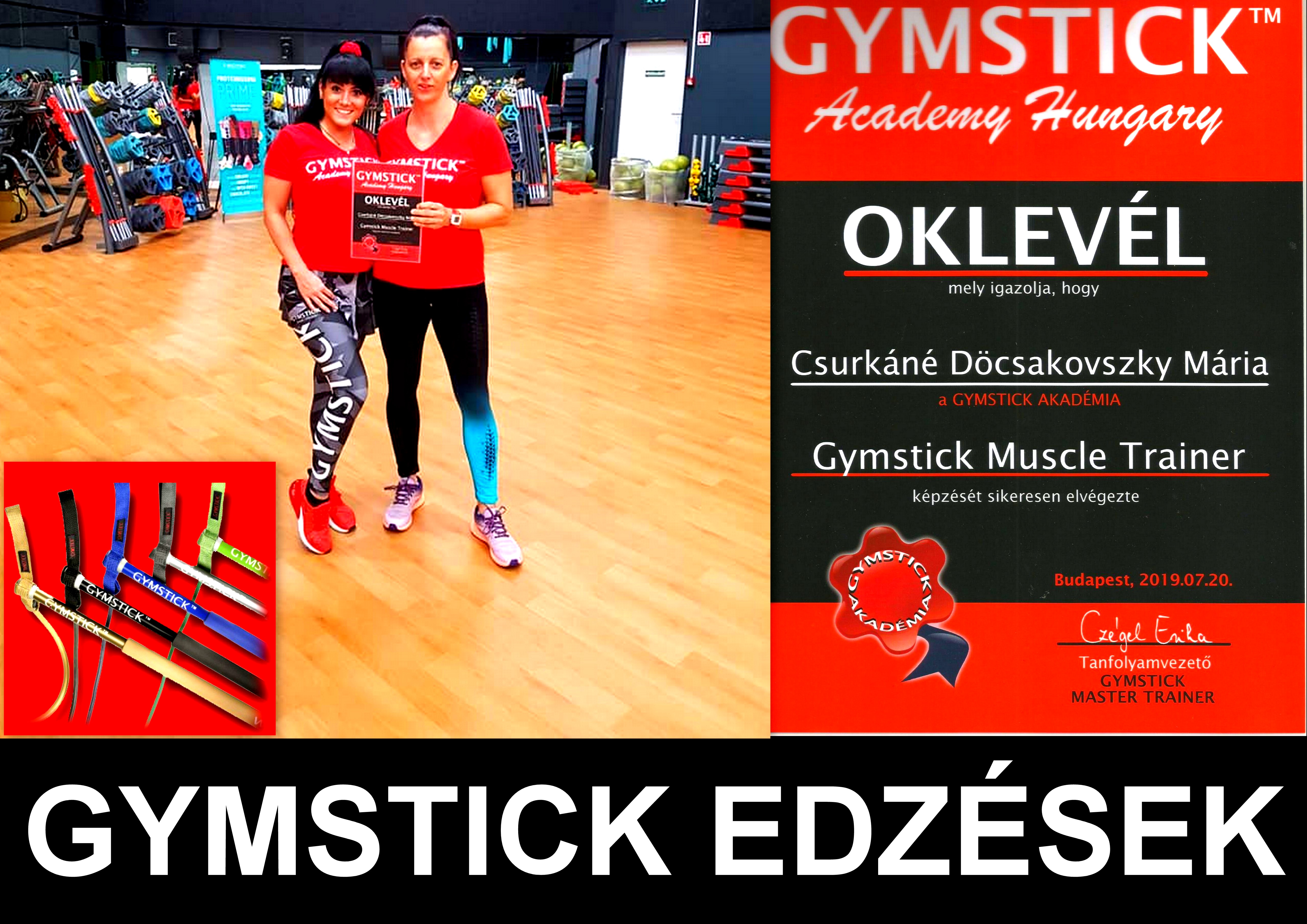 Gymstick